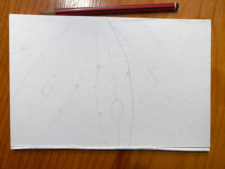 How to Paint Water Droplets in Watercolor