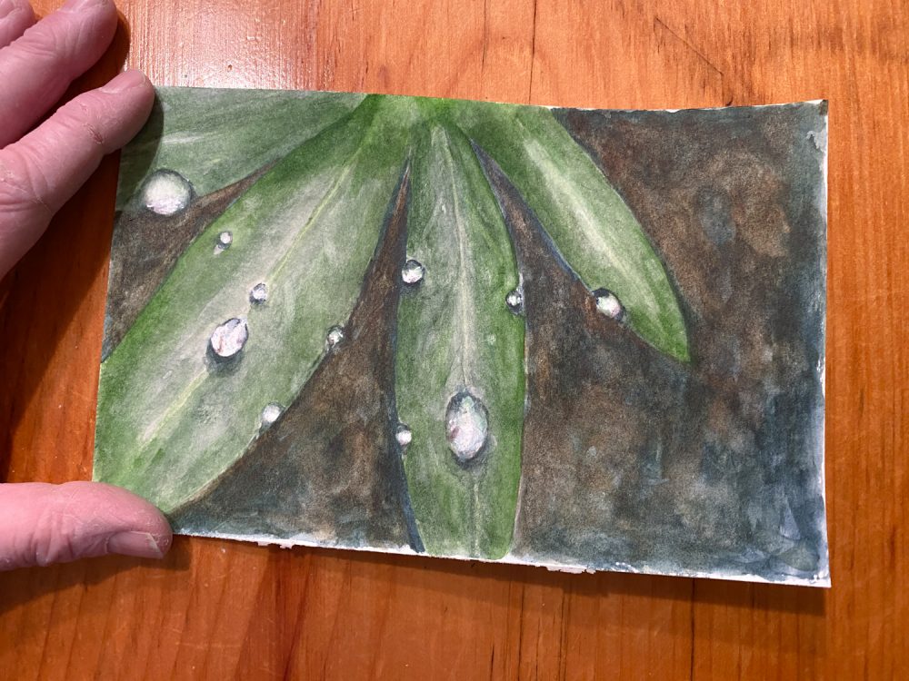How to Paint Water Droplets in Watercolor - Watercolor and Acrylic Painting